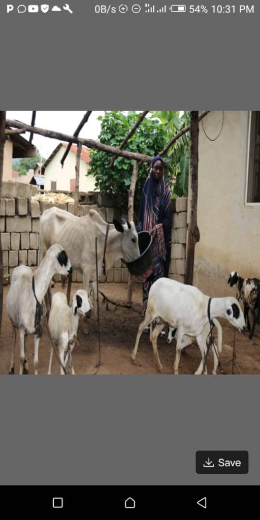 Women Groups Applaud Inclusion In VCDP Programmes, Shares Success ...