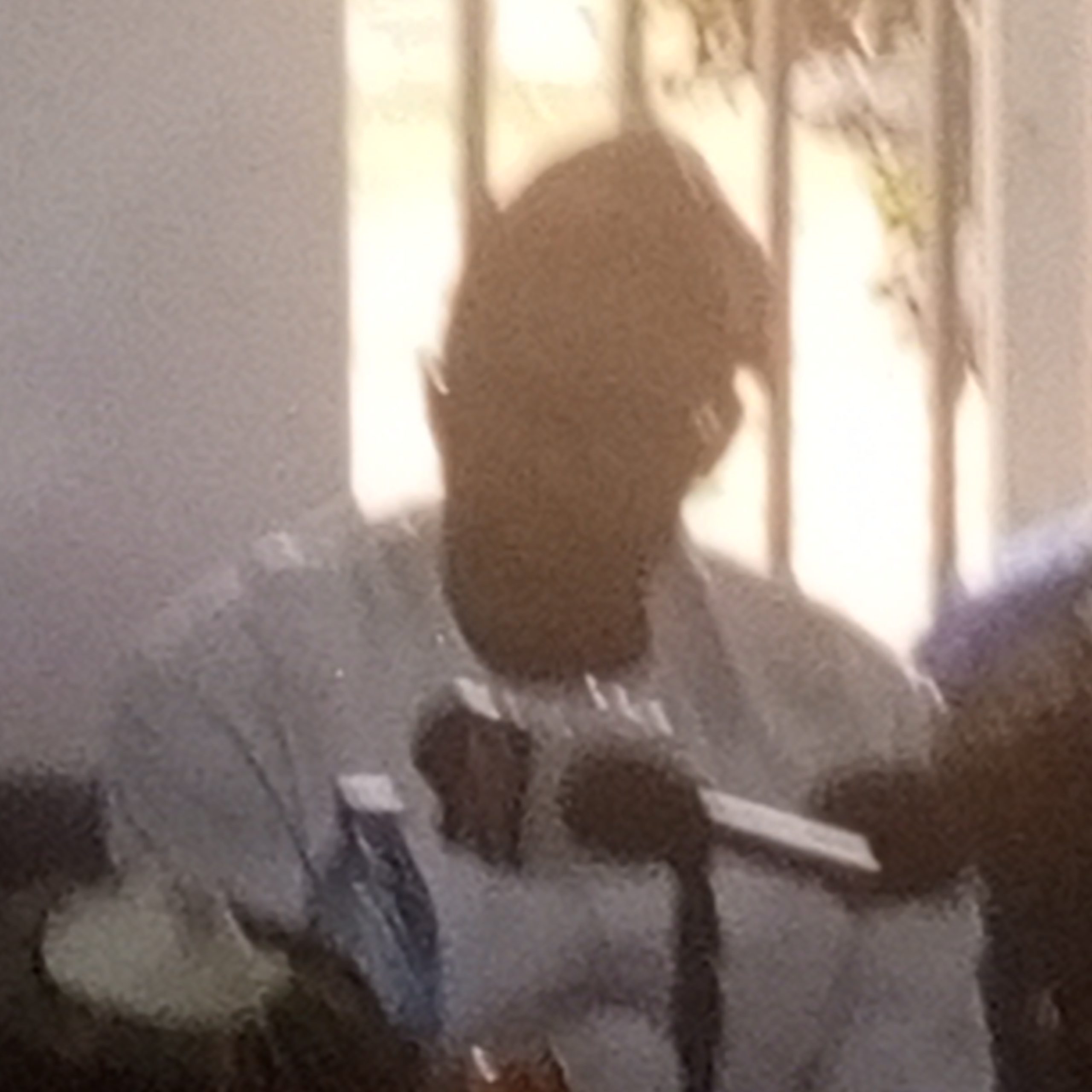 Kogi Bans Sign Out, Graduation Ceremony in Primary, Secondary, Tertiary Institutions, Introduce ...