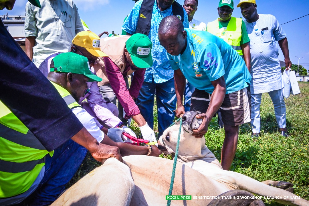 Kogi Launches National Animal Identification, Traceability System ...