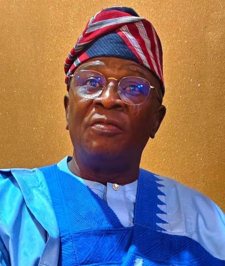REASONS PRESIDENT TINUBU MUST AND WILL SUCCEED - The Nigerian Post